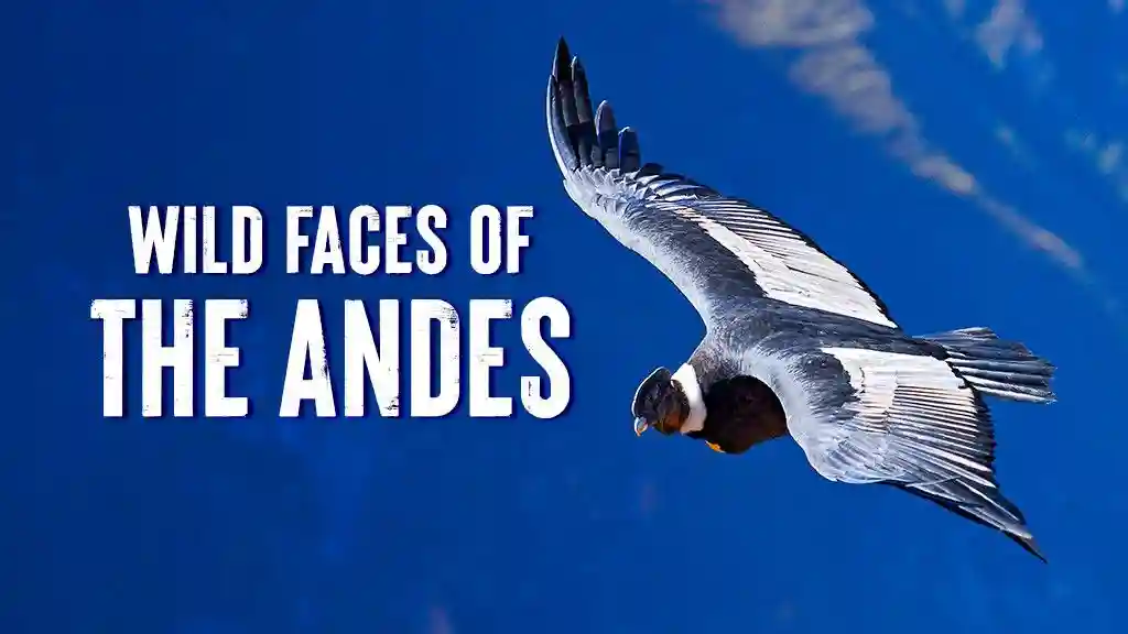 Watch Wild Faces of the Andes | Online at DocuBay